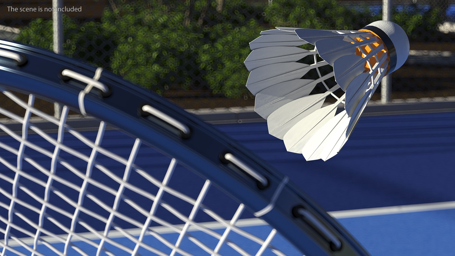 3D Professional Carbon Fiber Badminton Racket And Feather Shuttlecock ...