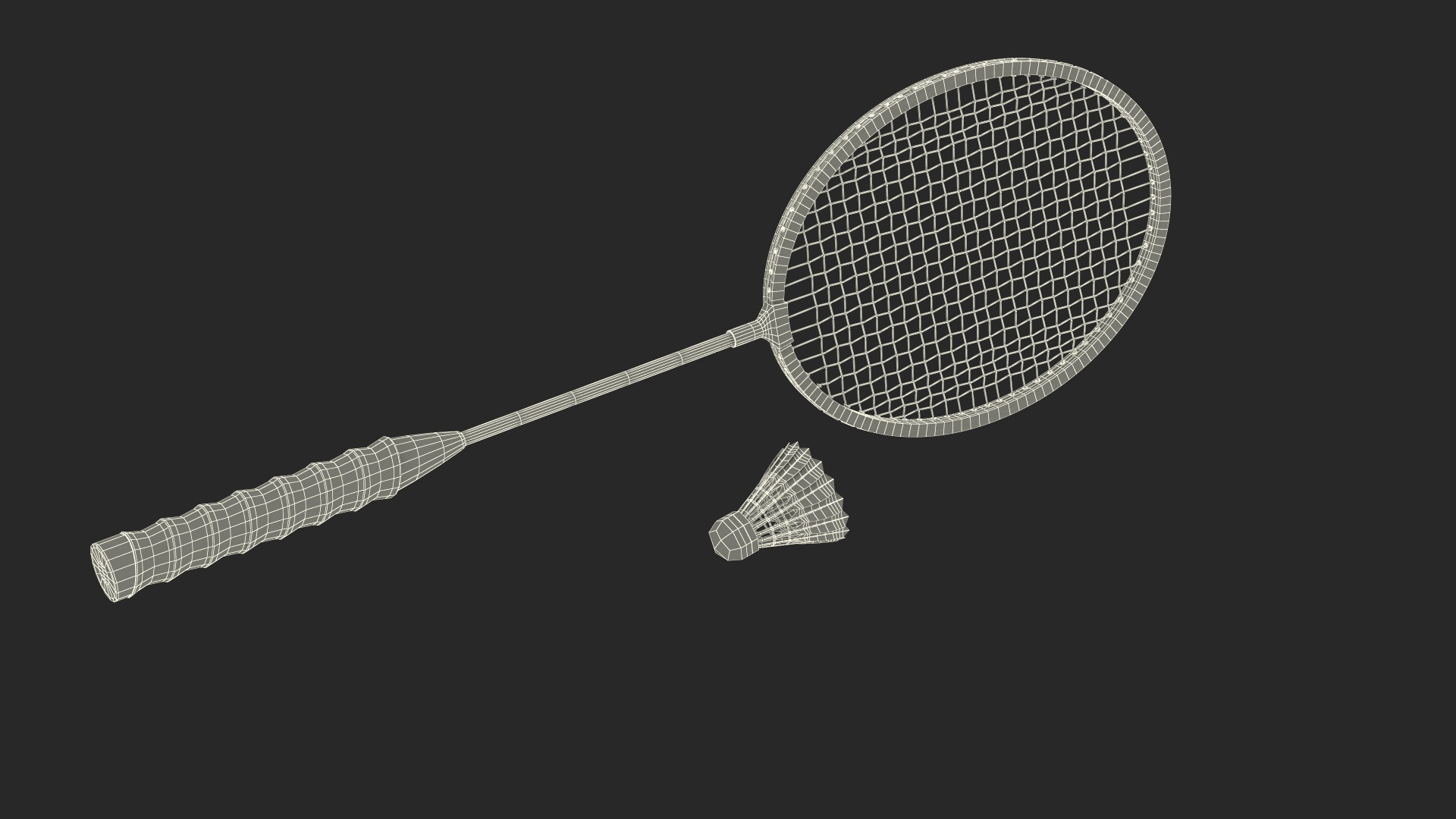 3D Professional Carbon Fiber Badminton Racket And Feather Shuttlecock ...