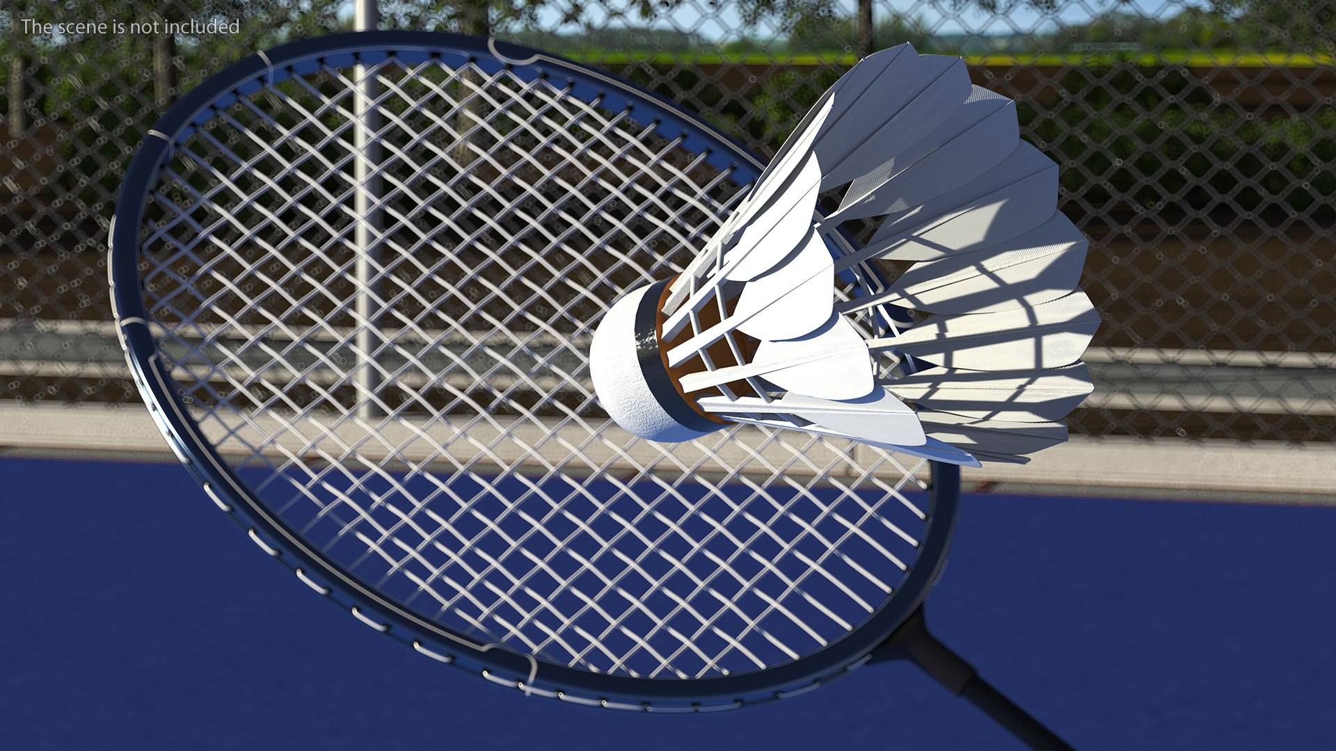 3D Professional Carbon Fiber Badminton Racket And Feather Shuttlecock ...