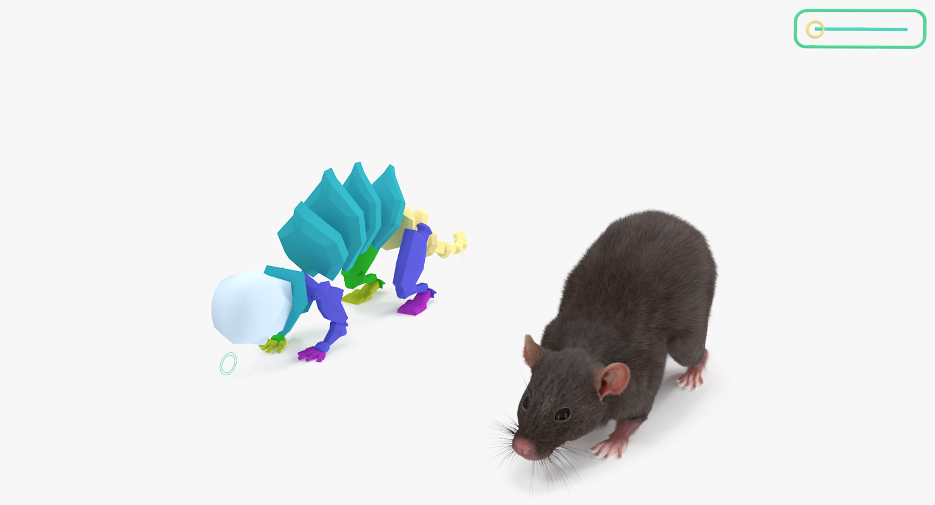 3D Rigged Rat With Trigger Trap Collection Model - TurboSquid 1784998