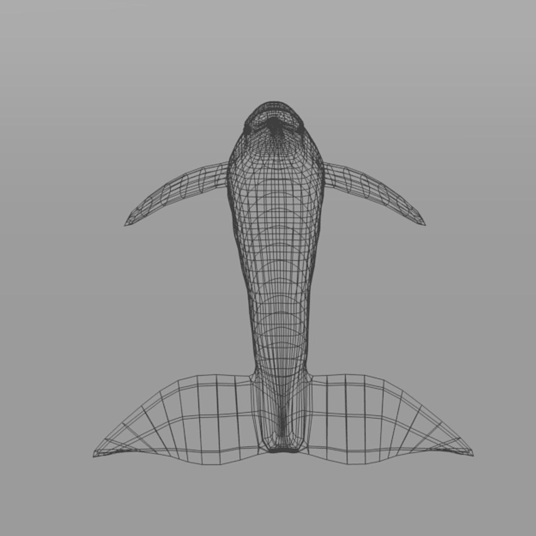 Pink Dolphin 3D Model - TurboSquid 1318856