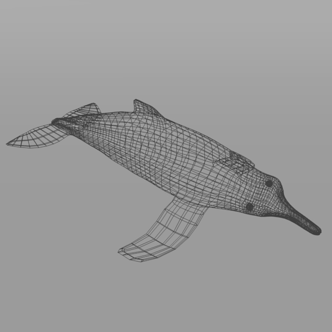Pink Dolphin 3D Model - TurboSquid 1318856