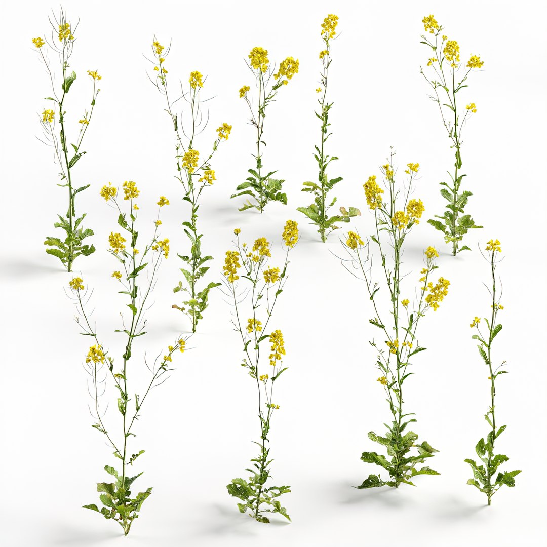 3D Archmodels vol 252 model - TurboSquid 1764134