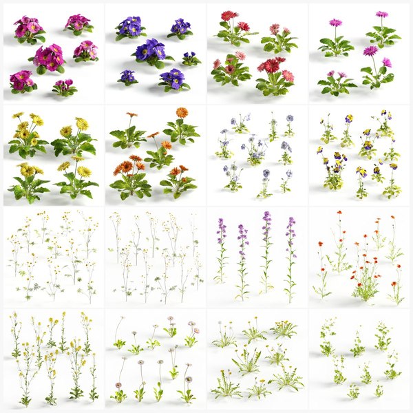 Plants 3ds Max Models for Download | TurboSquid