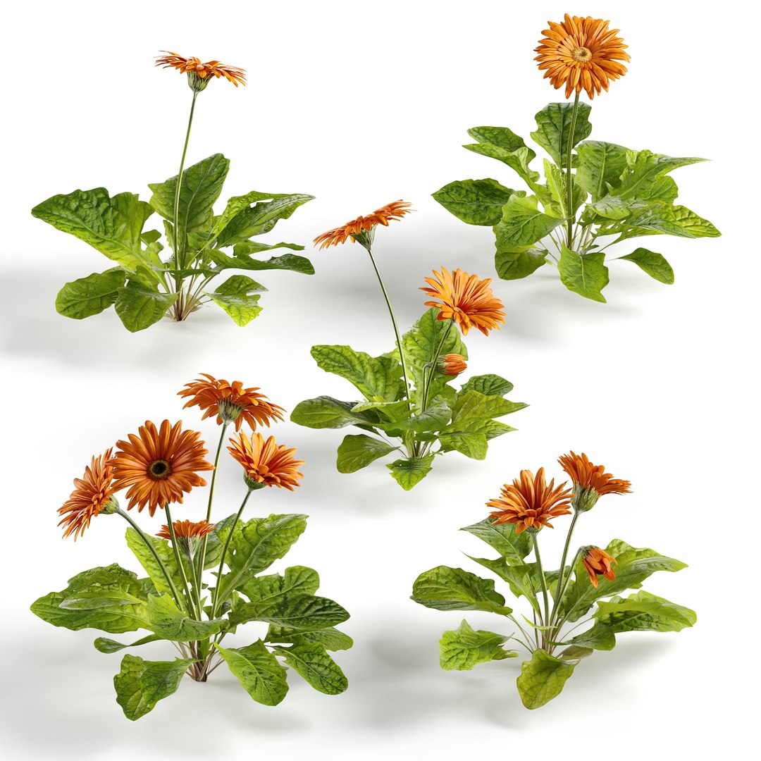 3D Archmodels vol 252 model - TurboSquid 1764134