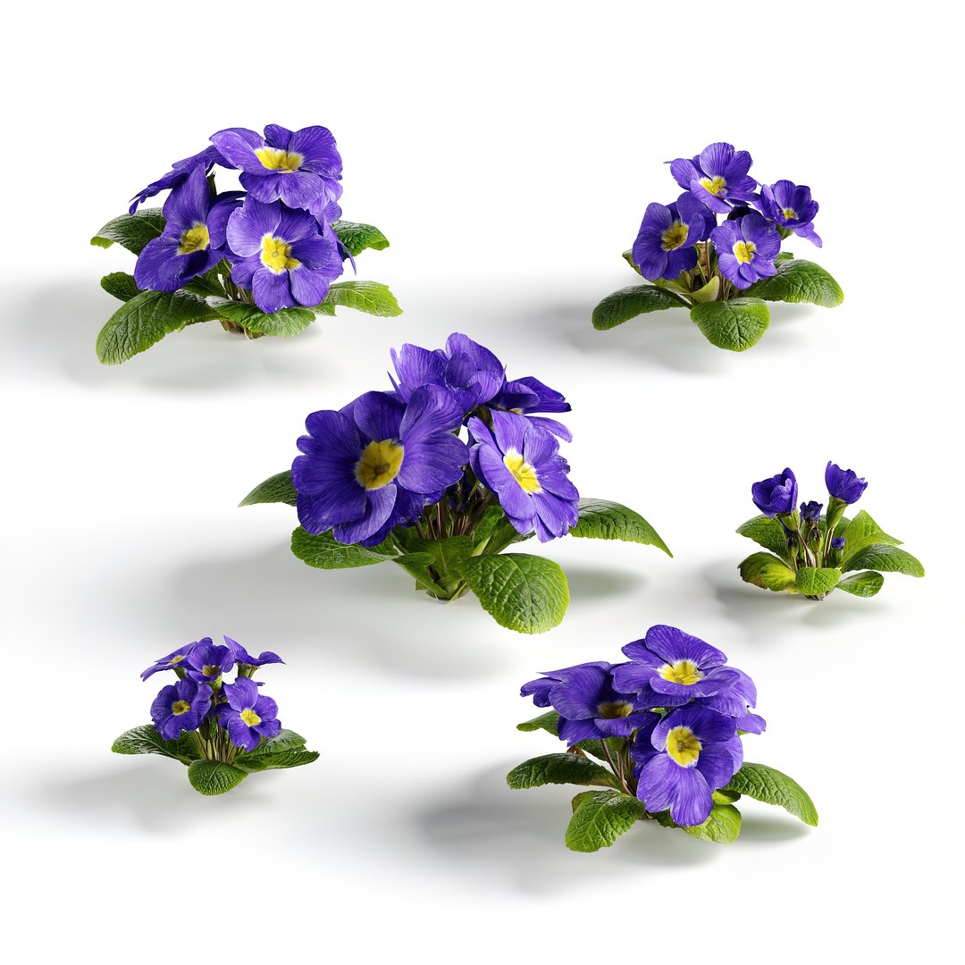 3D Archmodels Vol 252 Model - TurboSquid 1764134