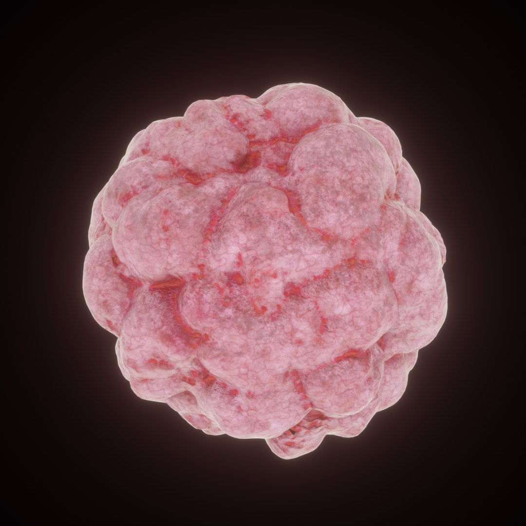 3D Cancer Cell Model - TurboSquid 1391292