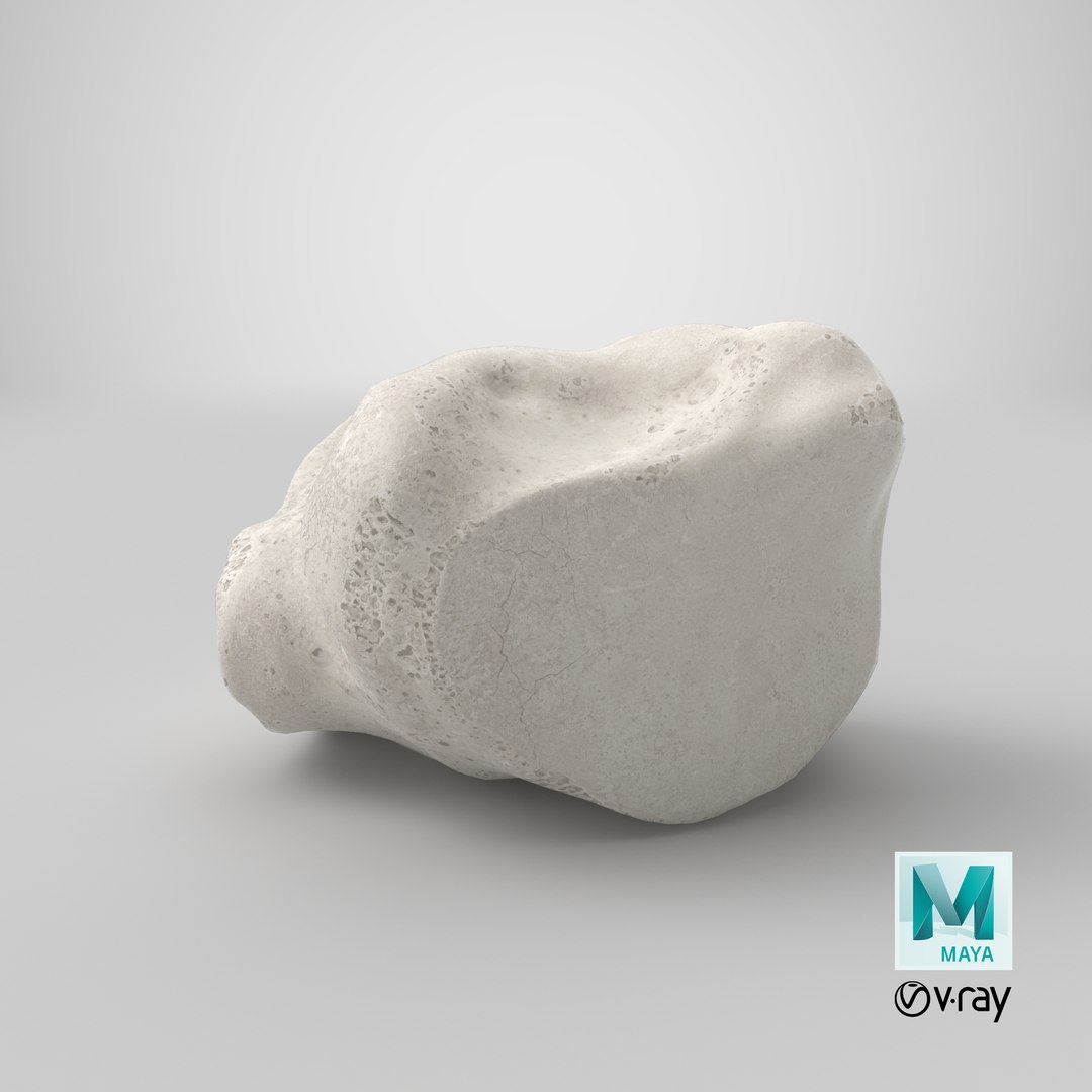 Cuboid Bone 01 White Model - TurboSquid 1553732