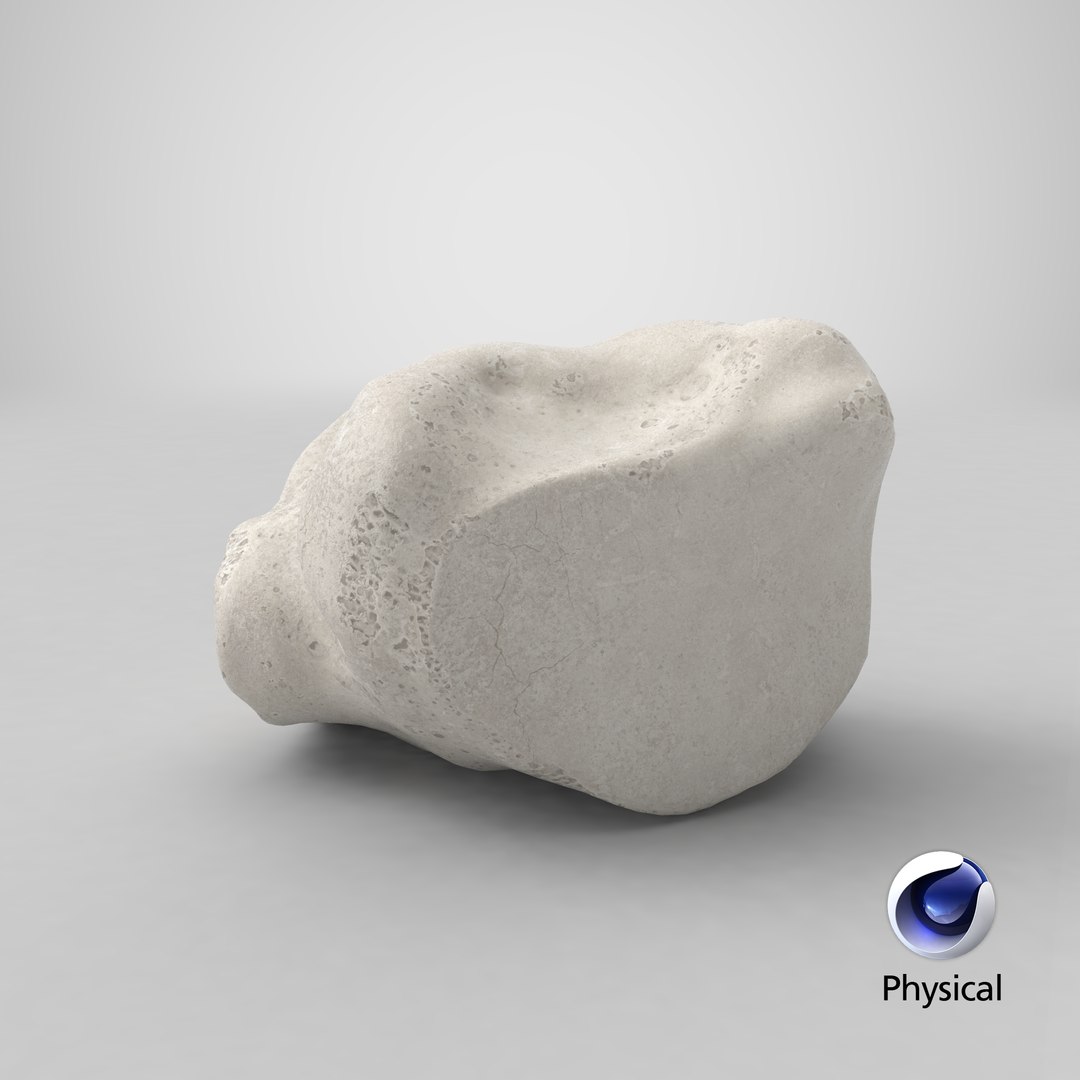 Cuboid bone 01 white model - TurboSquid 1553732