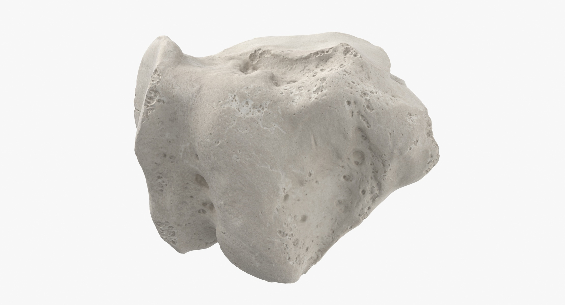 Cuboid Bone 01 White Model - TurboSquid 1553732