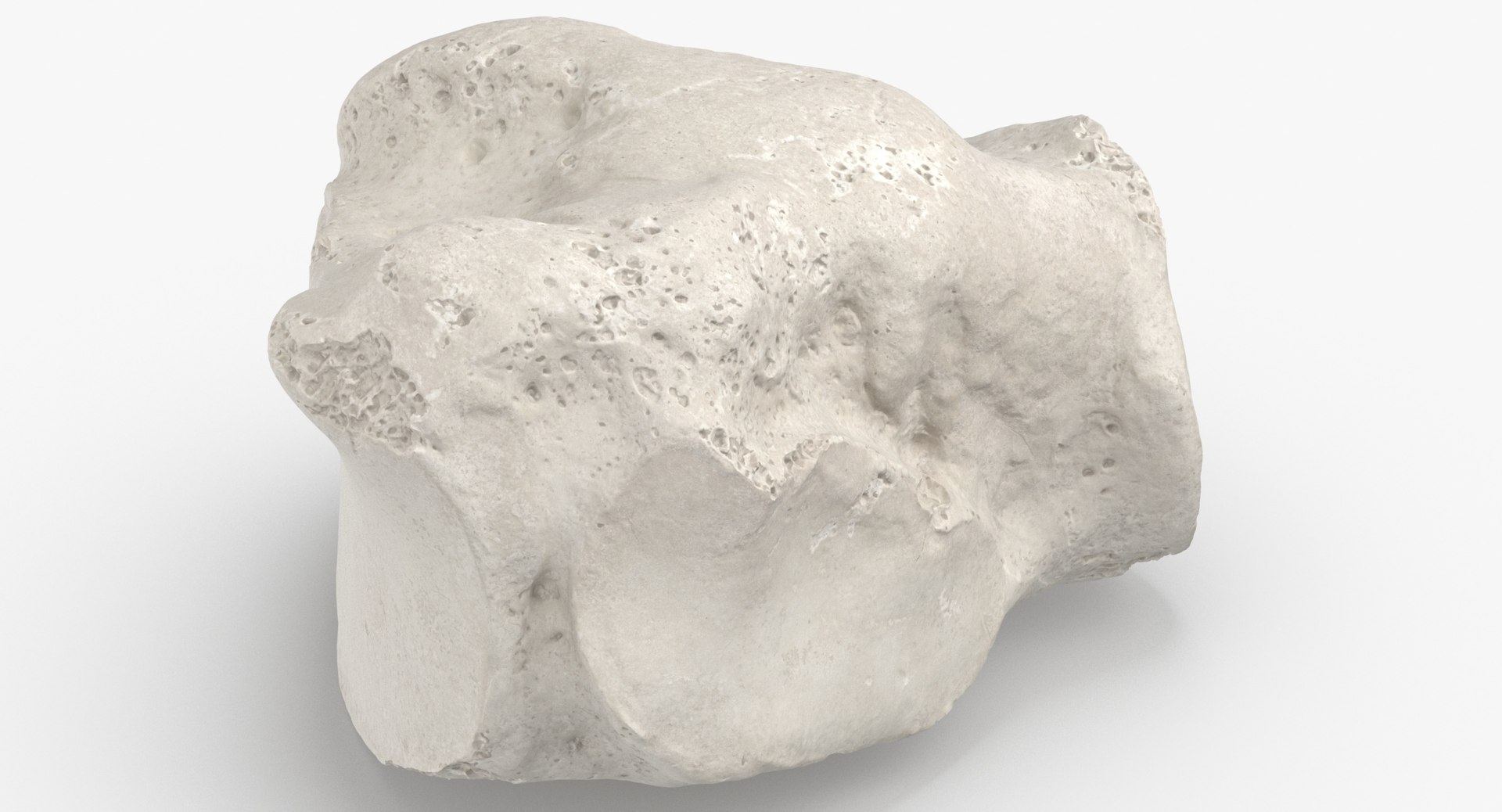 Cuboid Bone 01 White Model - TurboSquid 1553732