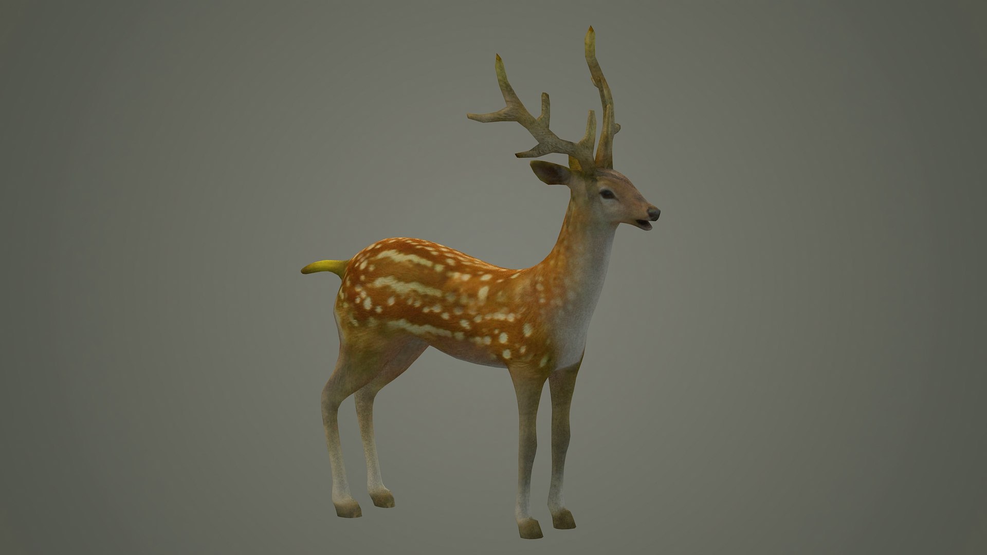 Deer Stag Animal Doe Game Lowpoly Forest Animation 3D Model ...