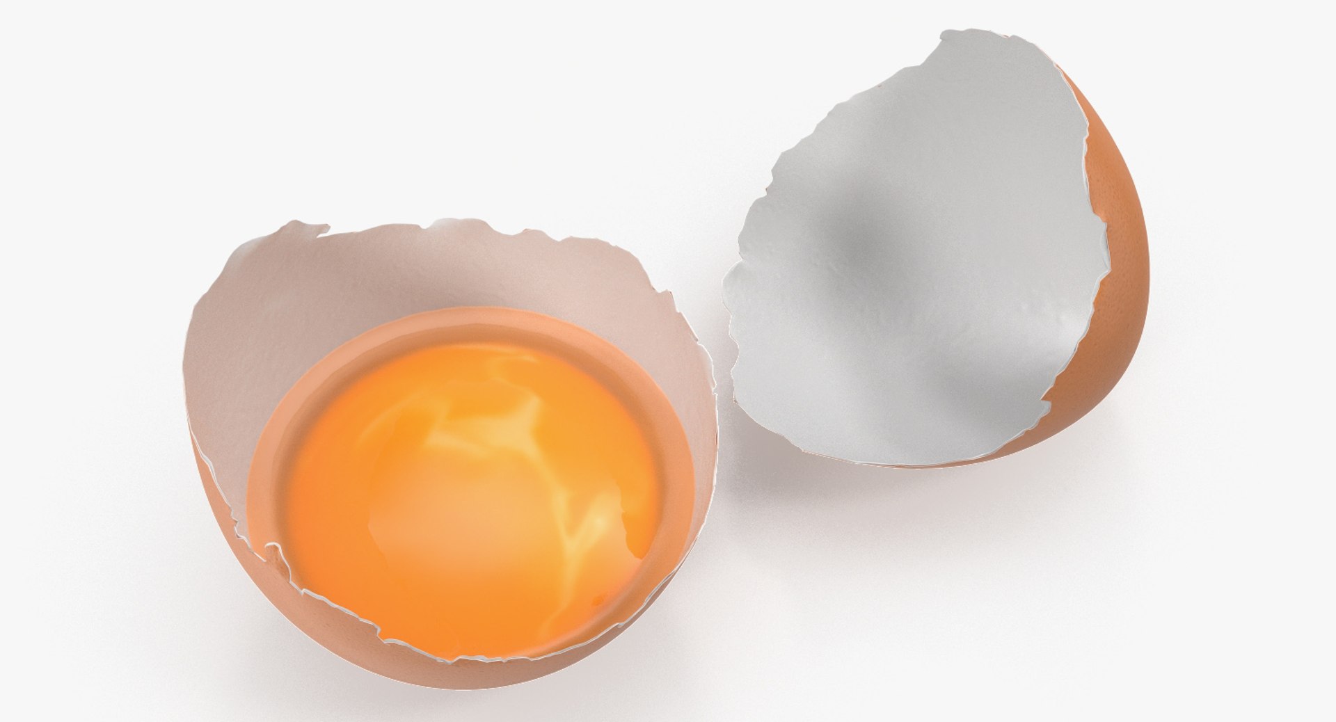 3D Cracked Egg Shell - TurboSquid 1329603