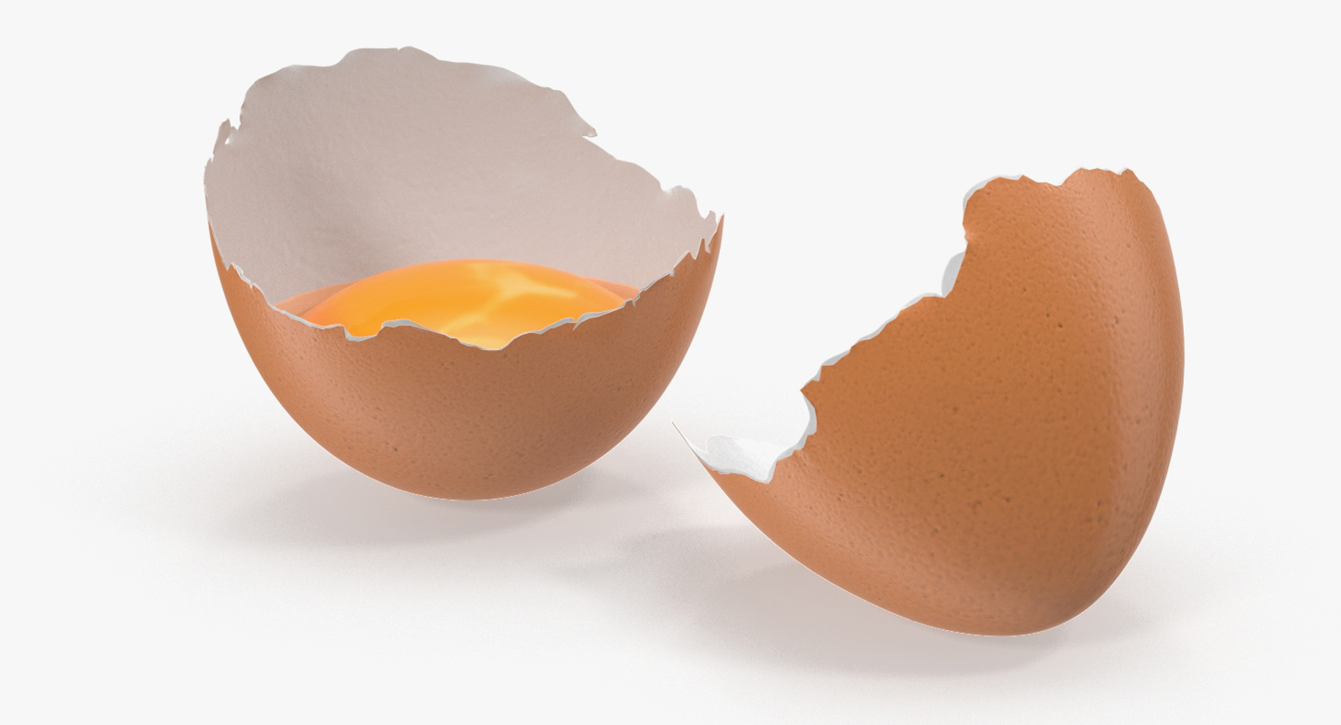 3D Cracked Egg Shell - TurboSquid 1329603