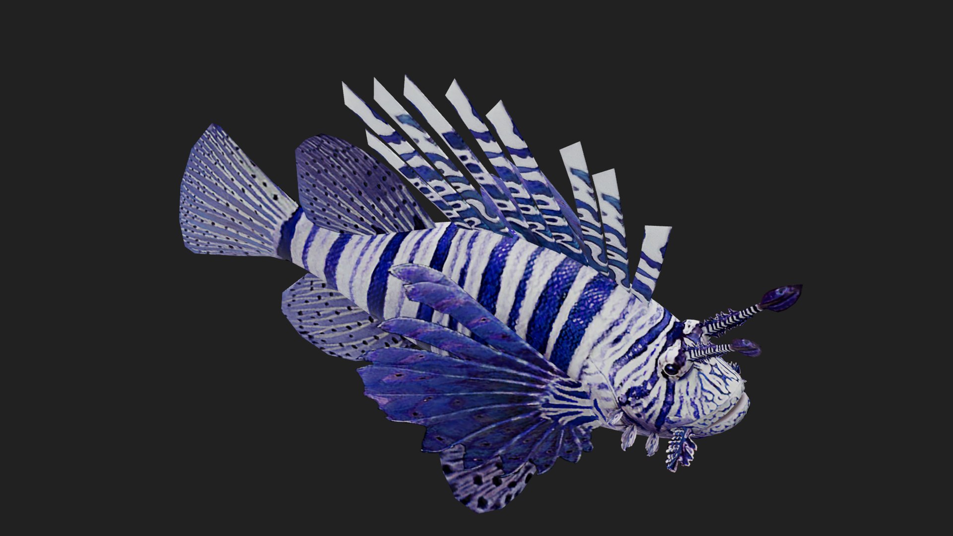 Lionfish 3D Model - TurboSquid 2121575