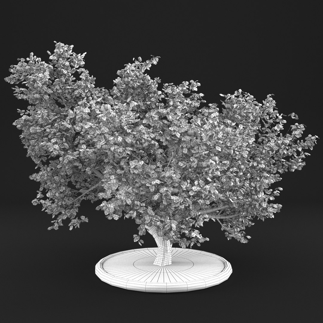 3D Model Apple Tree - TurboSquid 1159255