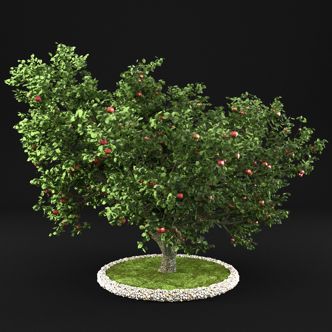 3D Model Apple Tree - TurboSquid 1159255