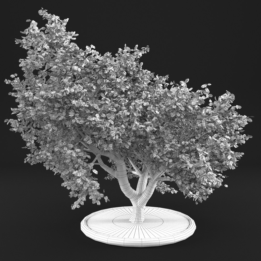 3D Model Apple Tree - TurboSquid 1159255