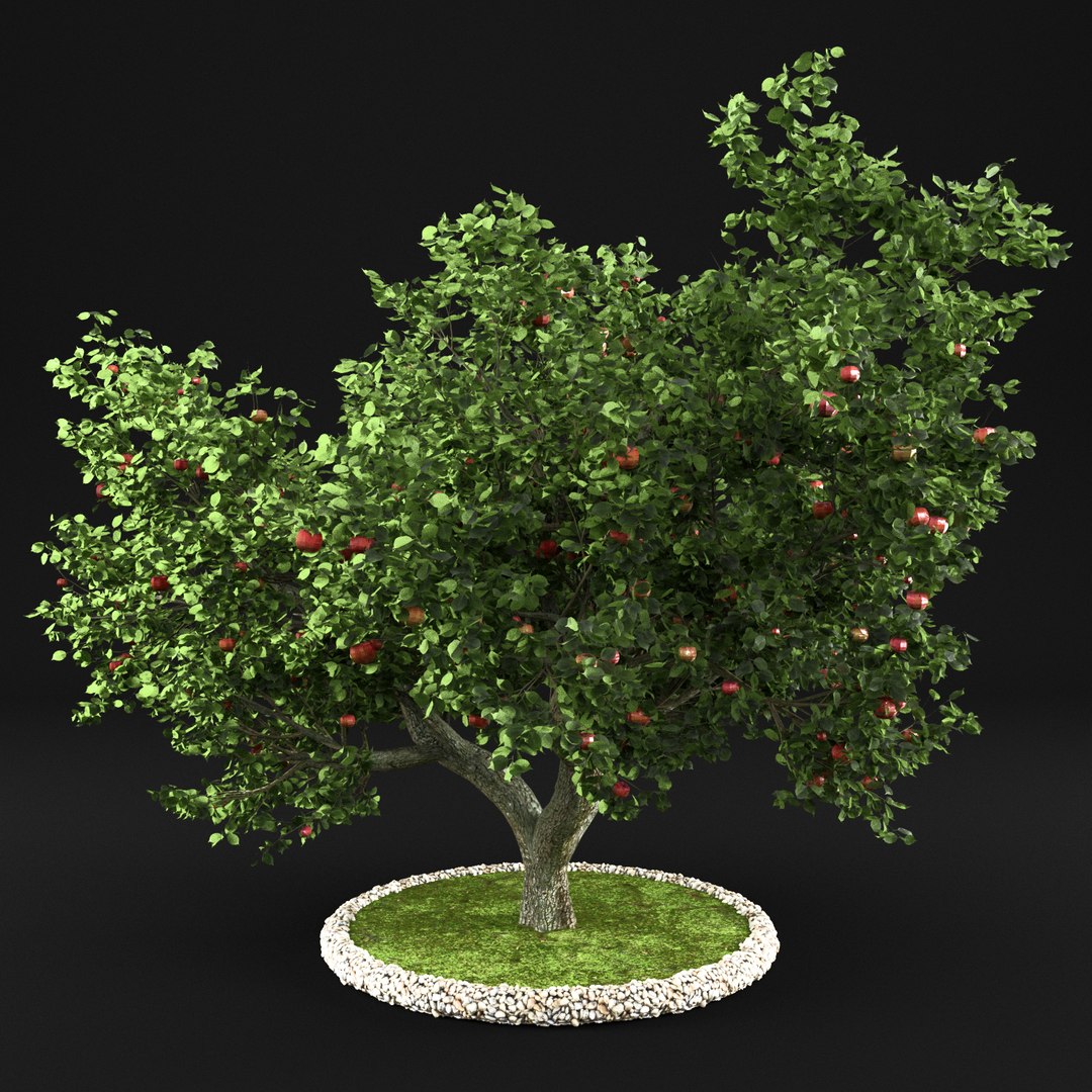 3D Model Apple Tree - TurboSquid 1159255