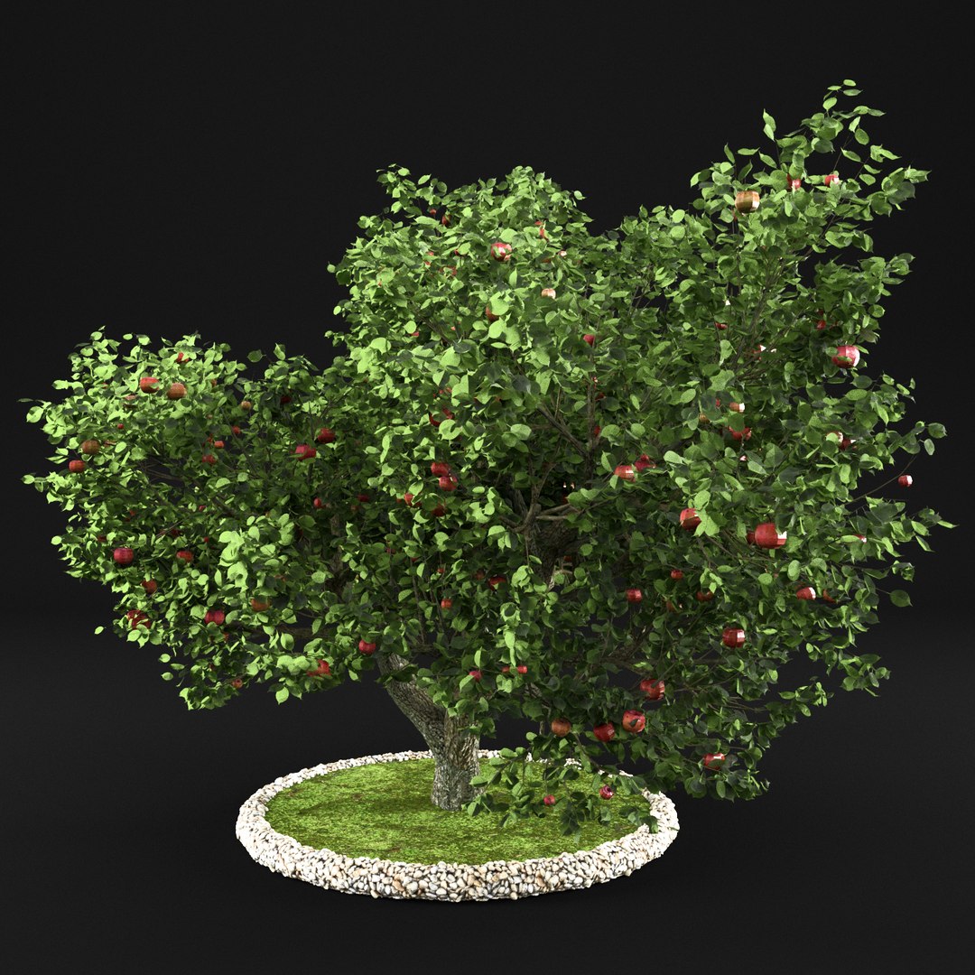 3D Model Apple Tree - TurboSquid 1159255