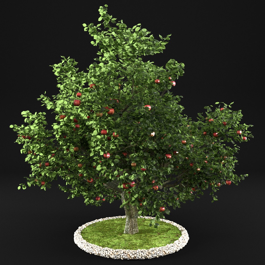 3D Model Apple Tree - TurboSquid 1159255