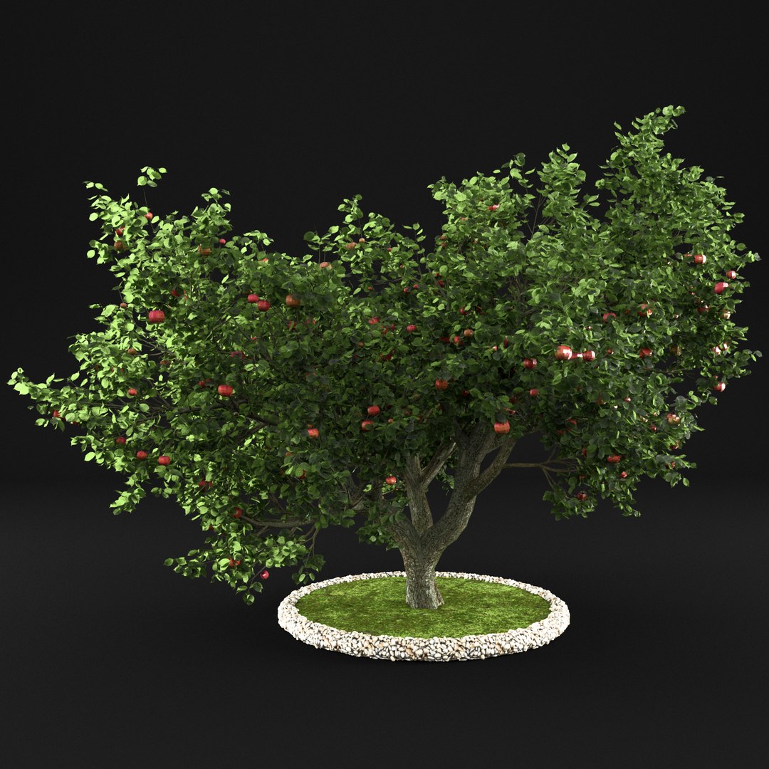 3D Model Apple Tree - TurboSquid 1159255