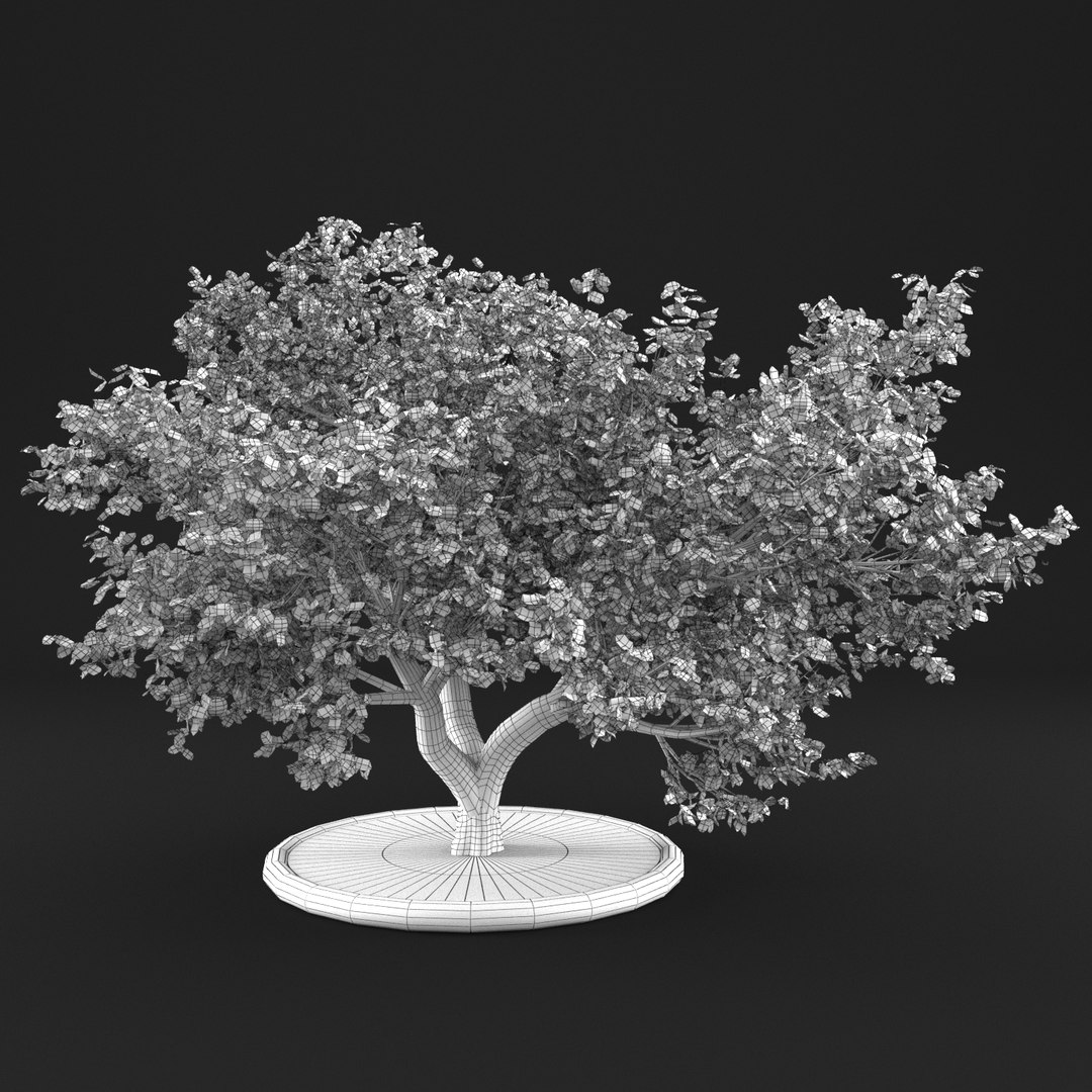 3D Model Apple Tree - TurboSquid 1159255