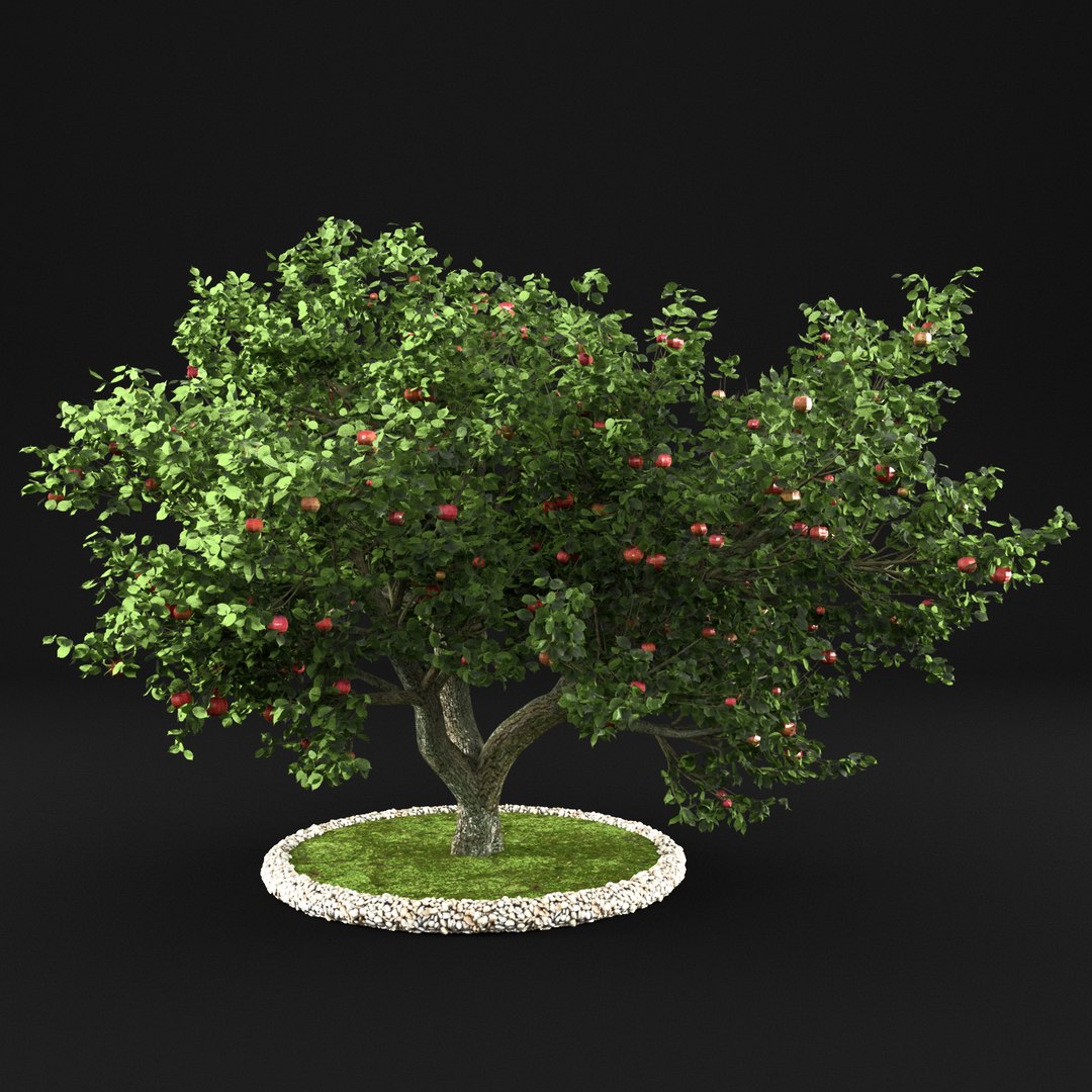 3D Model Apple Tree - TurboSquid 1159255