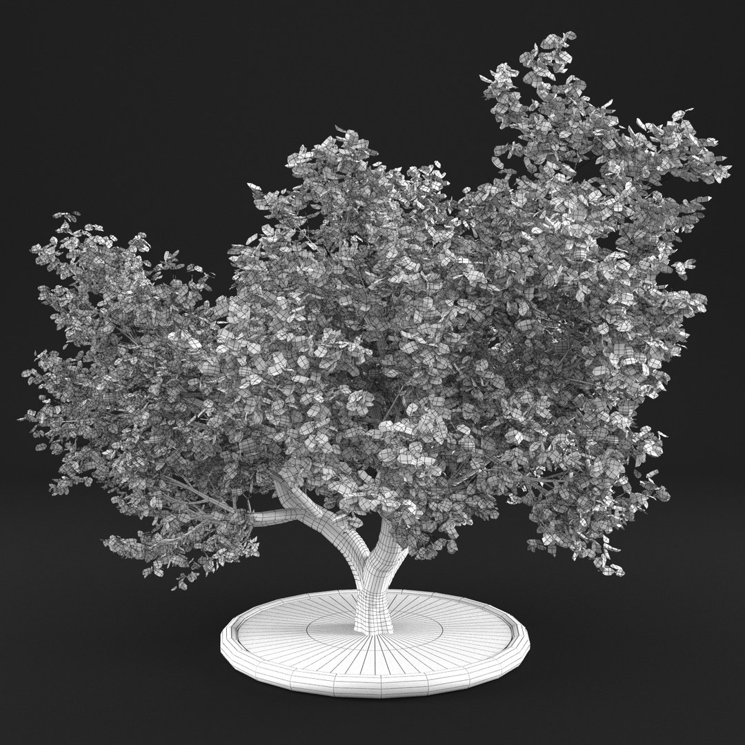 3D Model Apple Tree - TurboSquid 1159255