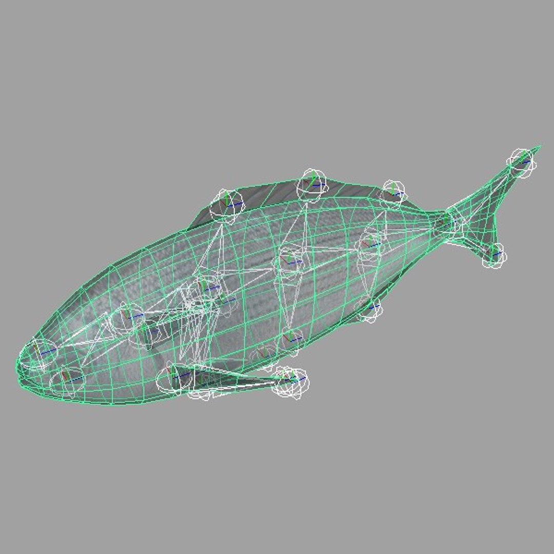 Oblada Fish 3d Model