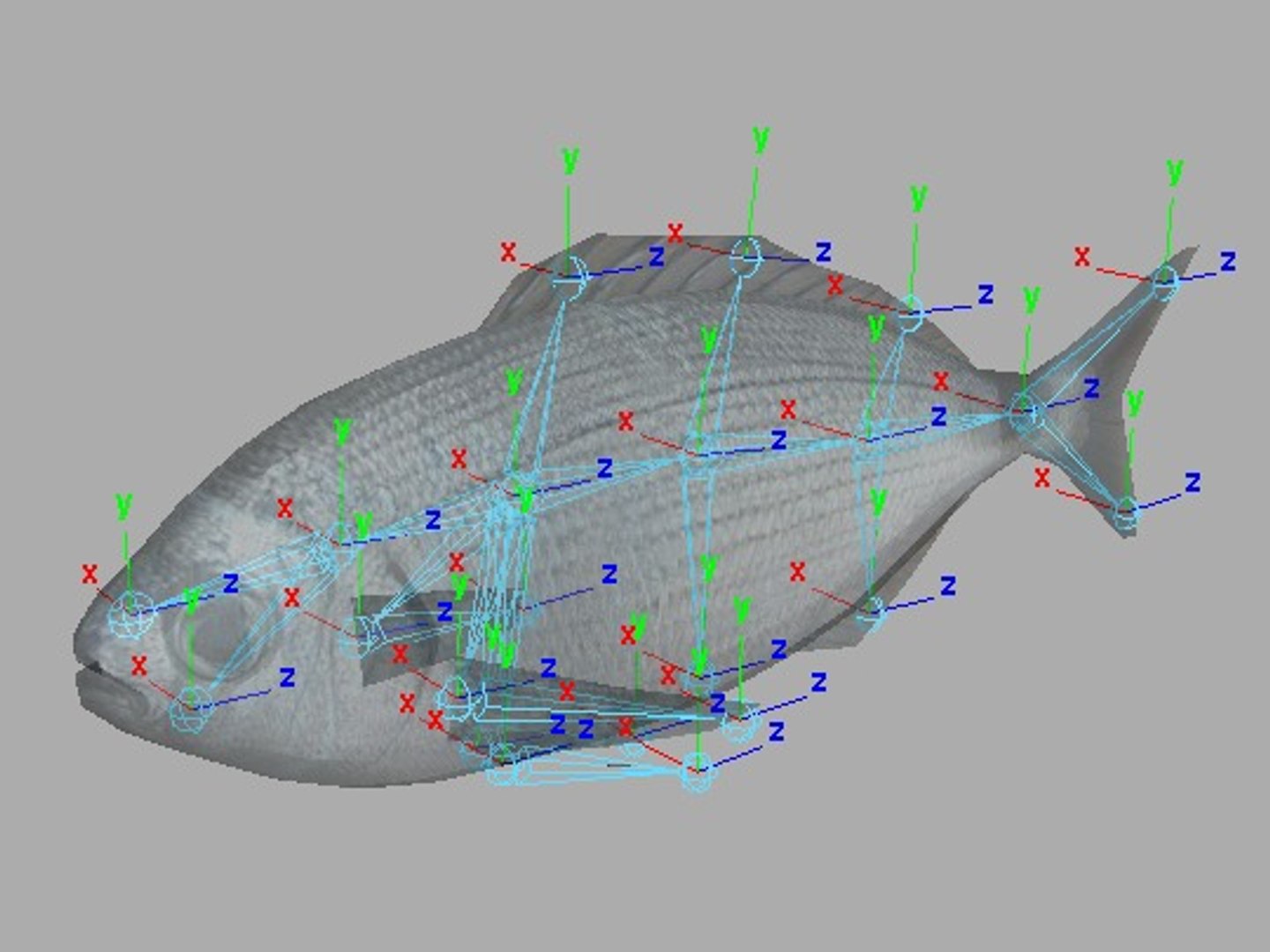 Oblada Fish 3d Model