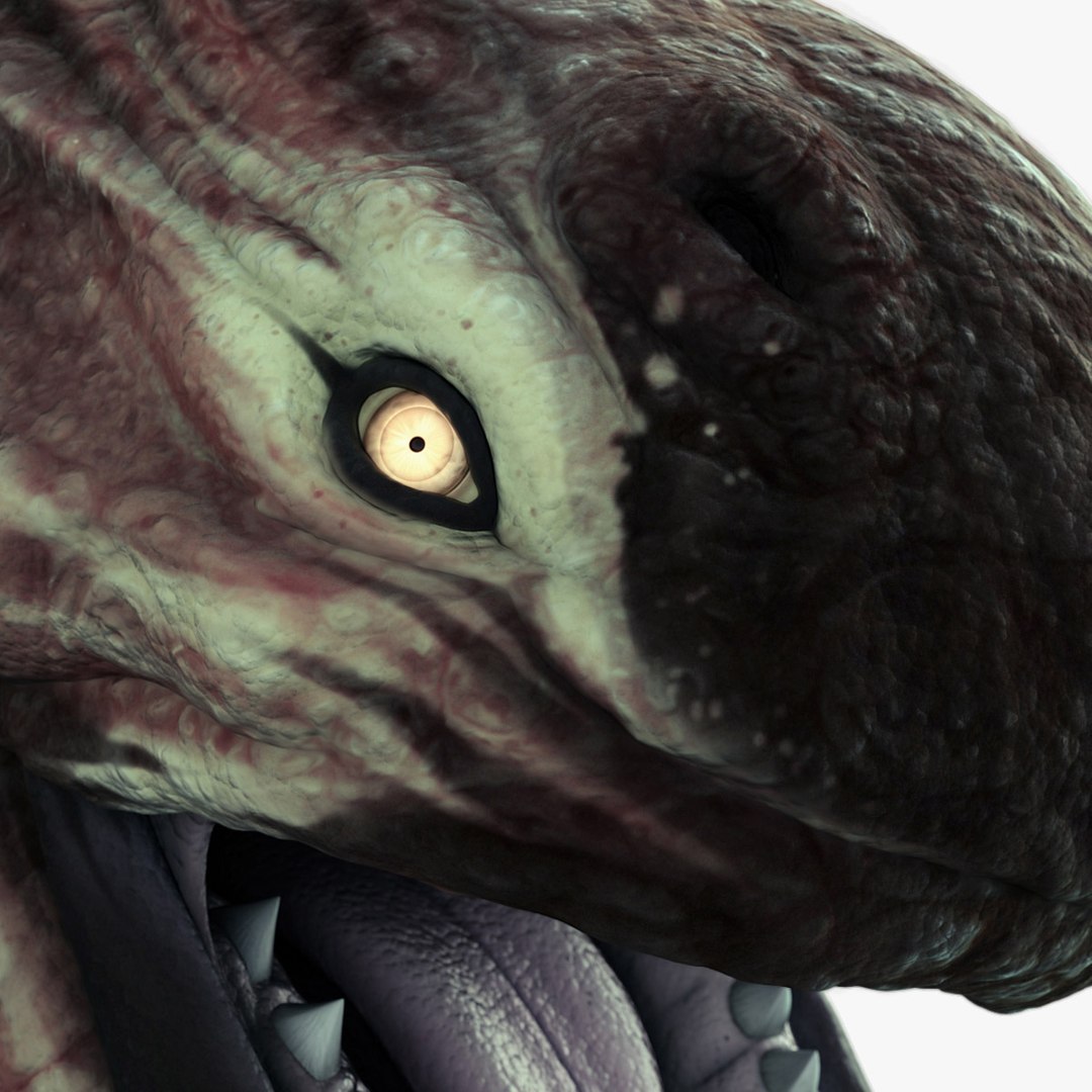Dragon Beast Monster Max