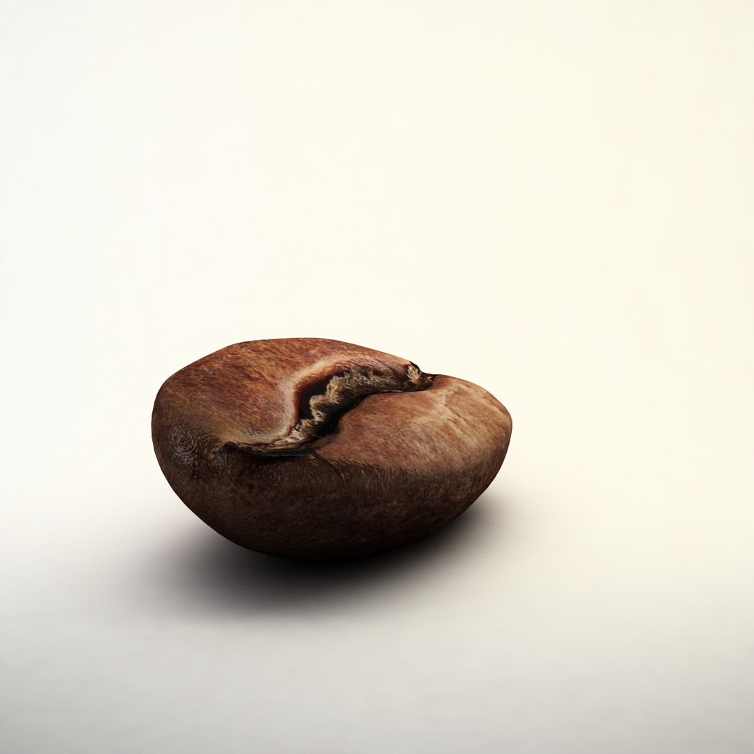 3d Coffee Bean Model