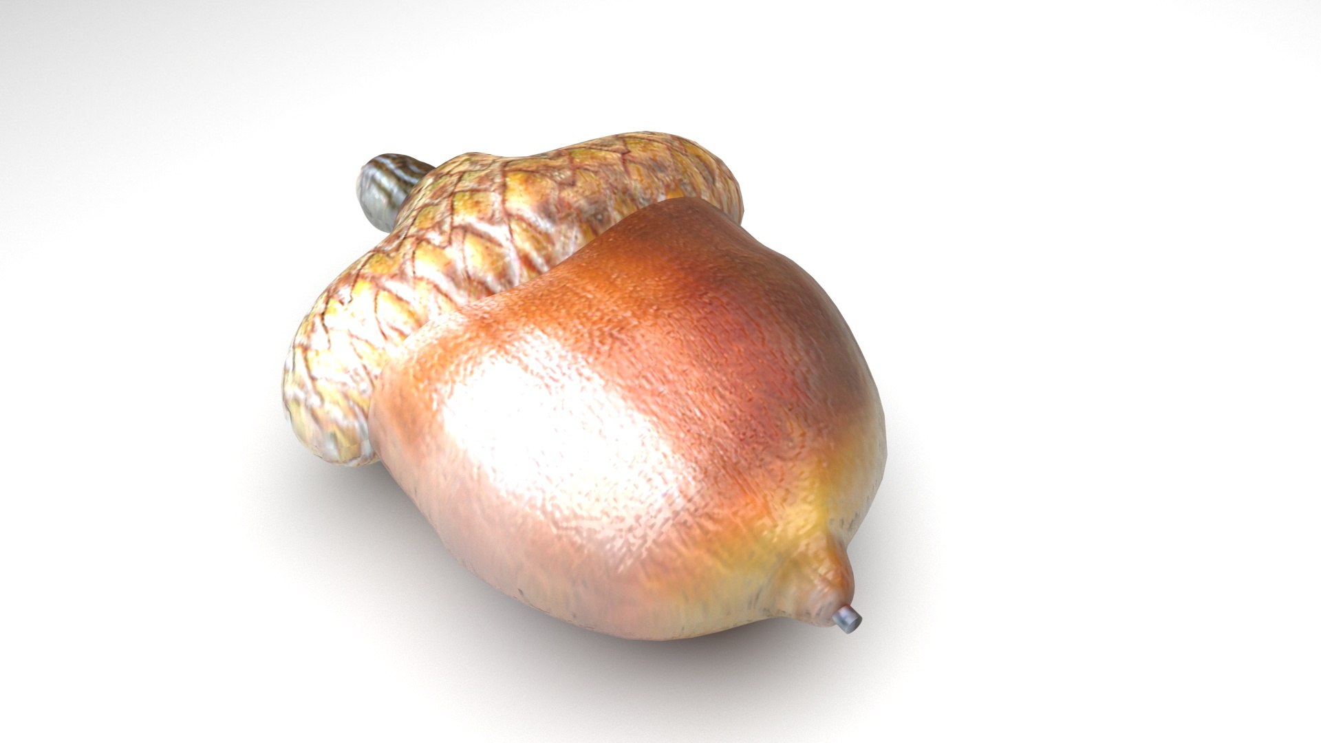 3D Acorn - TurboSquid 1851219