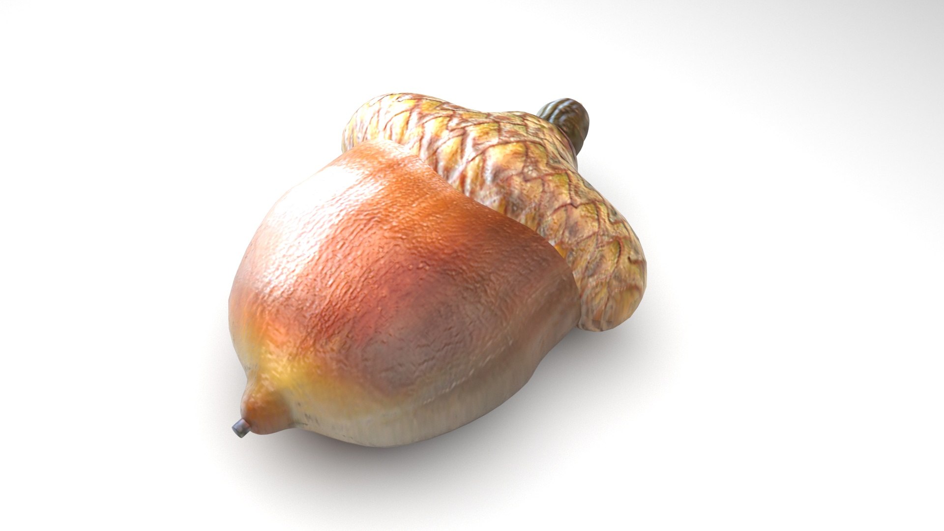 3D Acorn - TurboSquid 1851219