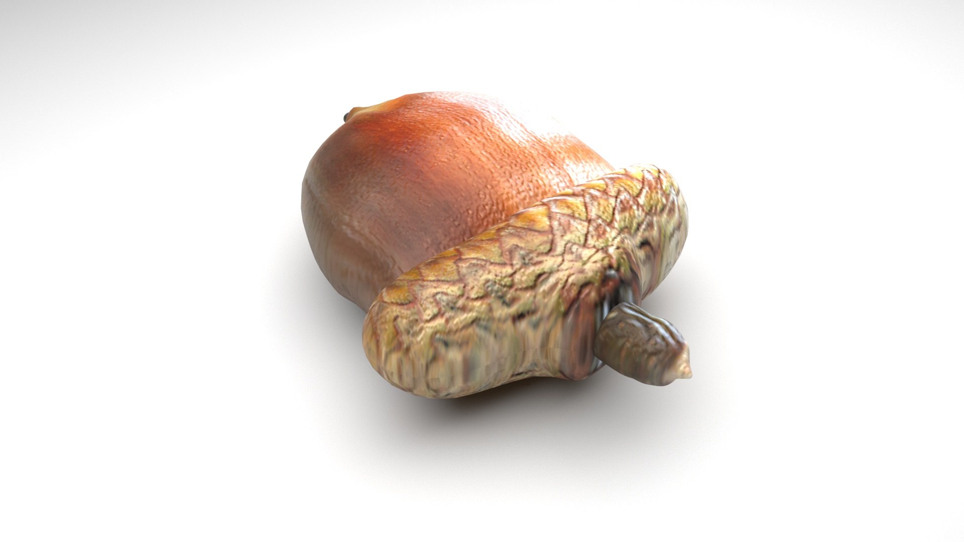 3D Acorn - TurboSquid 1851219