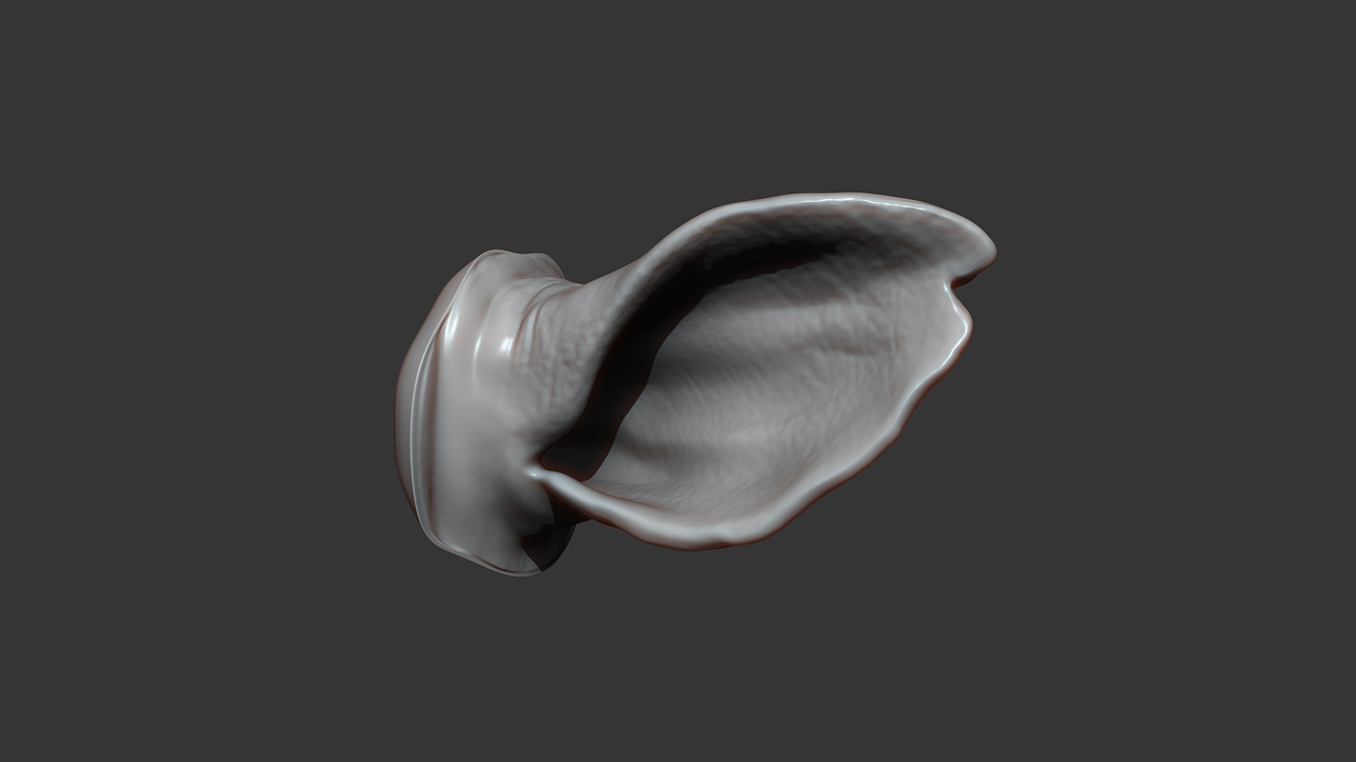 Bull Ear Highpoly Sculpt 3D - TurboSquid 1809059