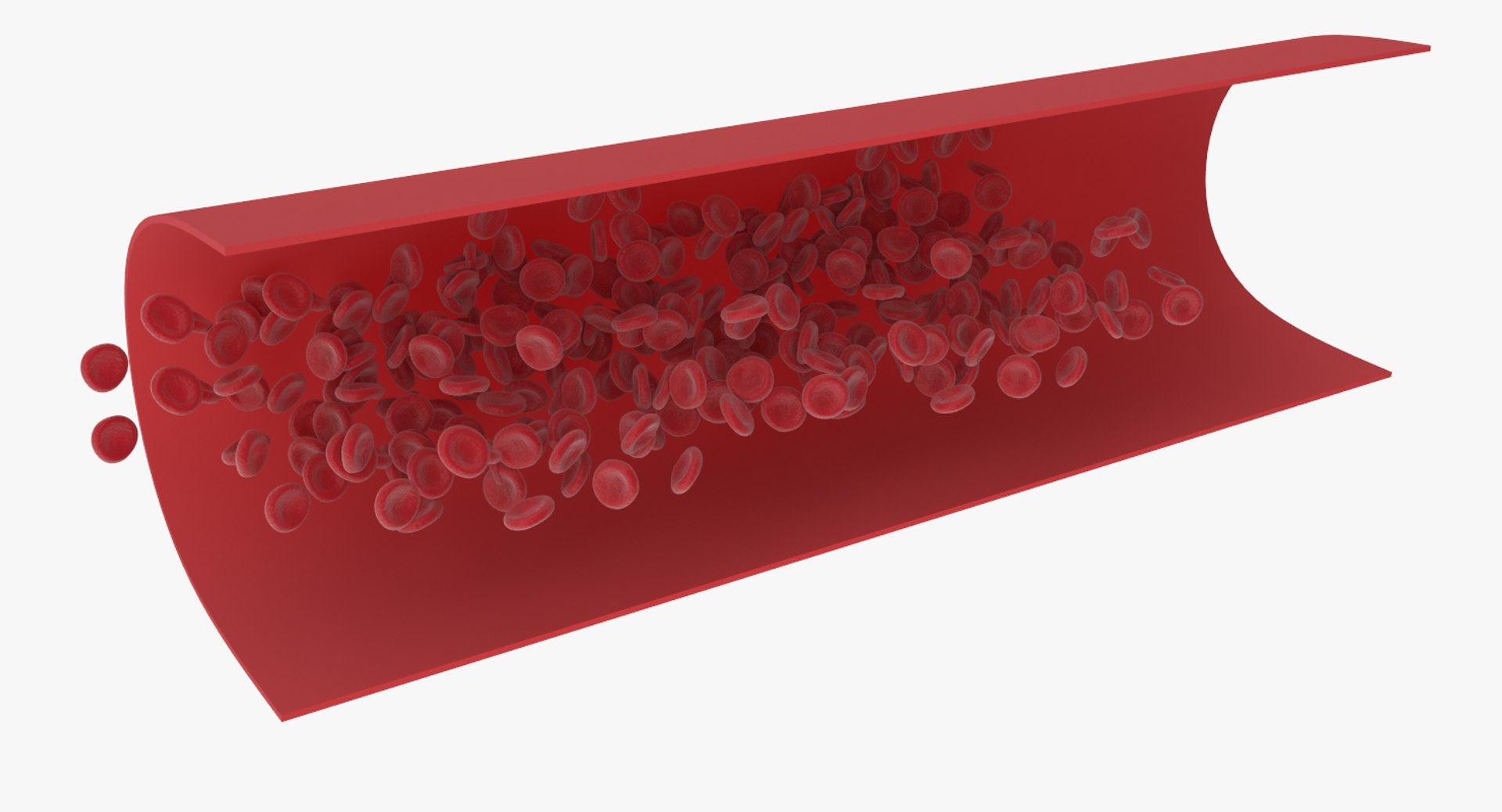 3D Red Blood Cells Model - TurboSquid 1334525