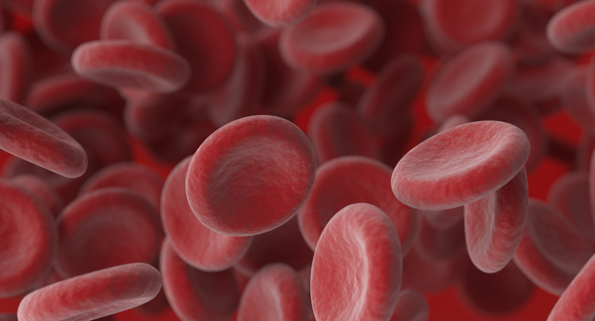 3D Red Blood Cells Model - TurboSquid 1334525