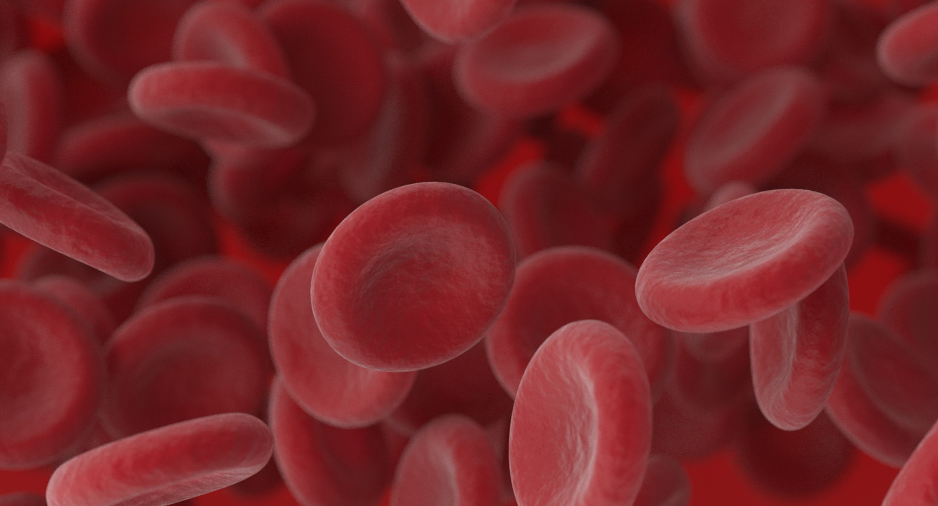 3D Red Blood Cells Model - TurboSquid 1334525