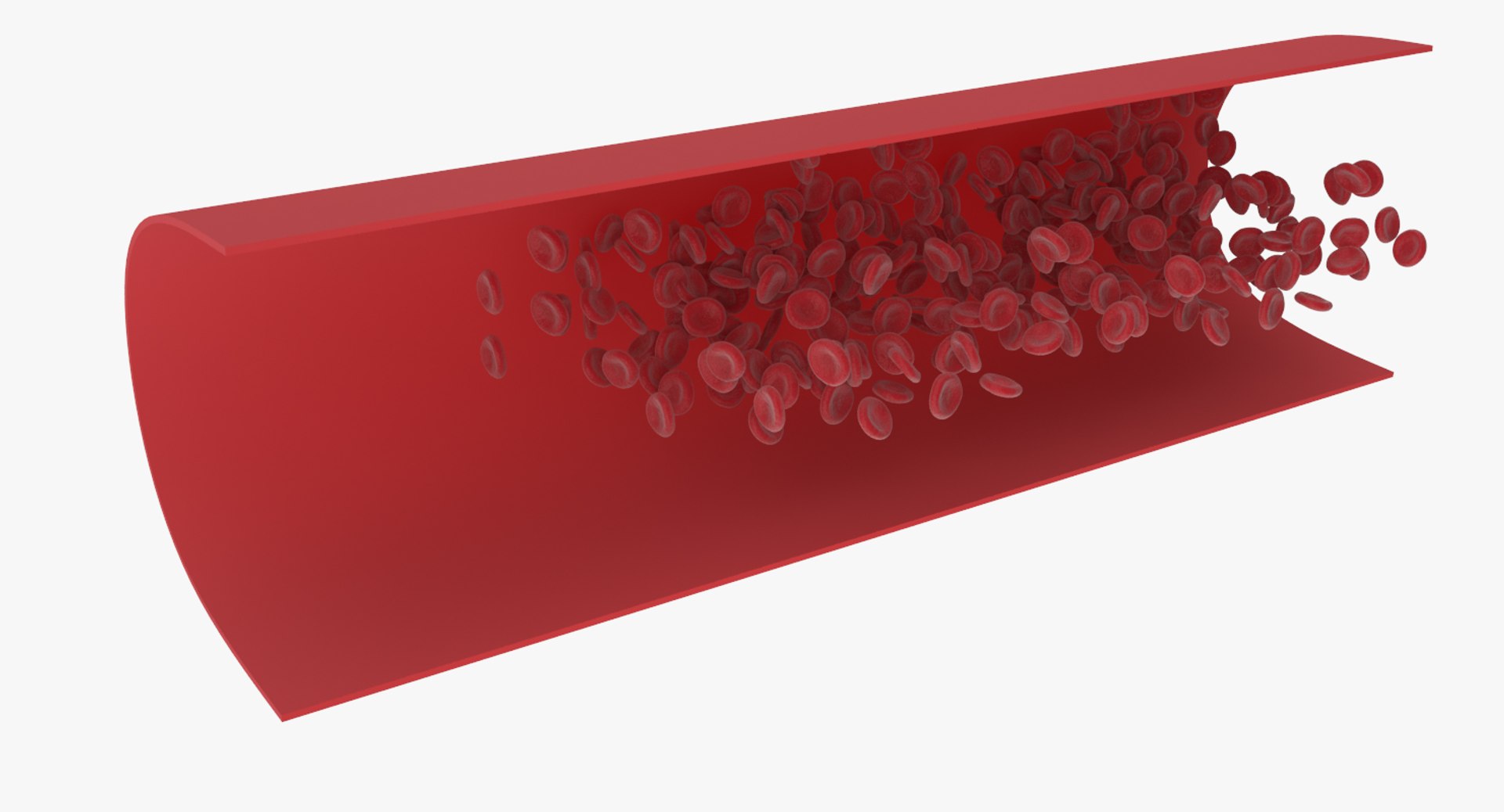 3D Red Blood Cells Model - TurboSquid 1334525