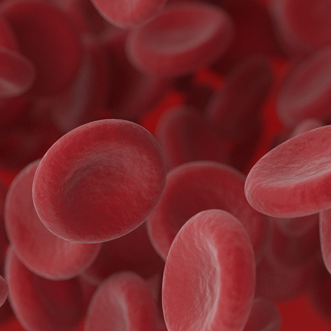 3D Red Blood Cells Model - TurboSquid 1334525