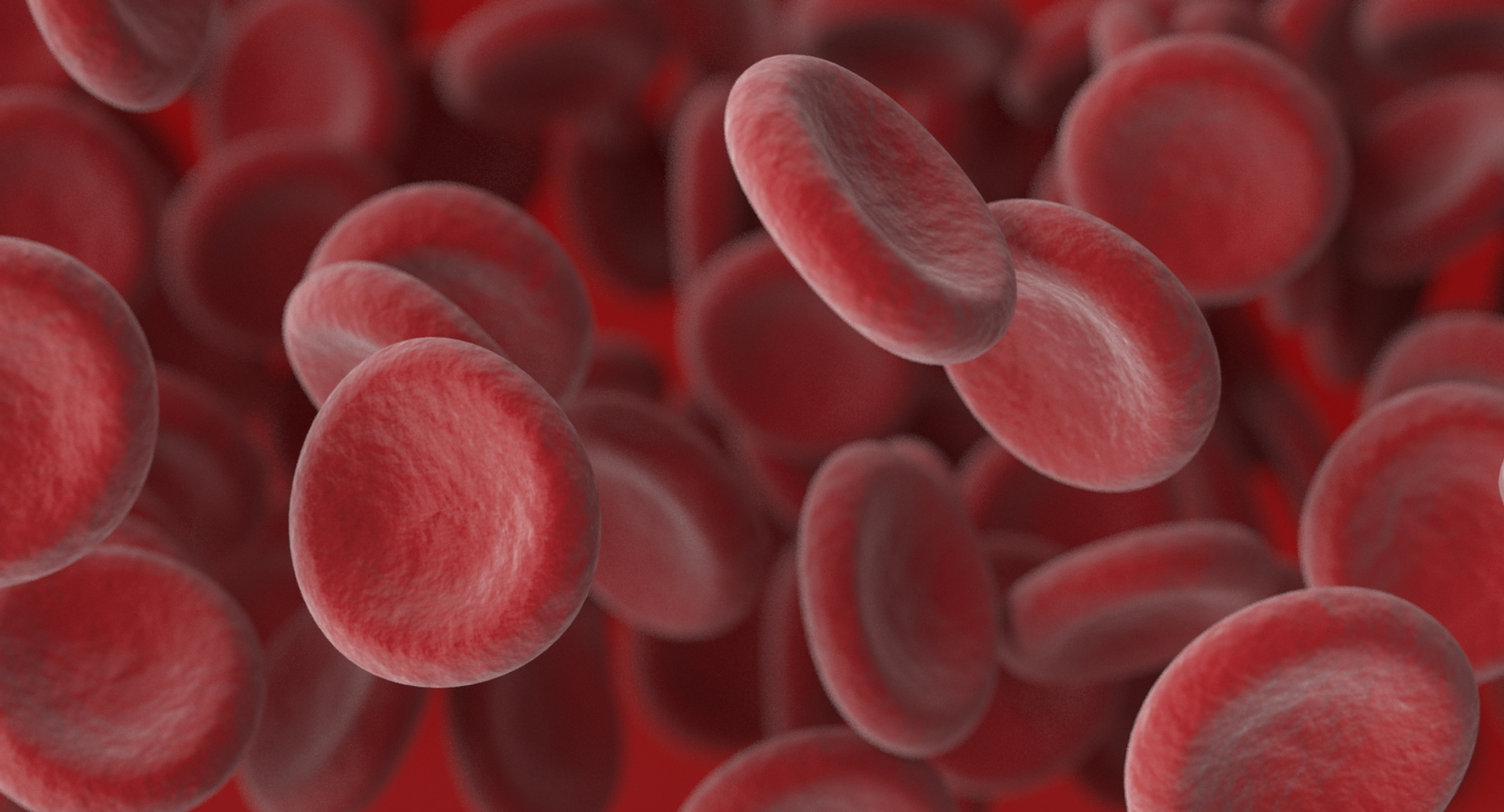 3D Red Blood Cells Model - TurboSquid 1334525