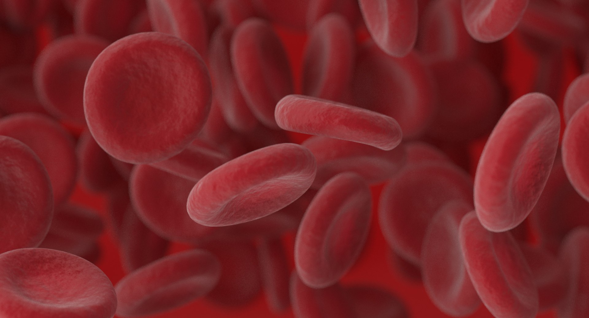 3D Red Blood Cells Model - TurboSquid 1334525