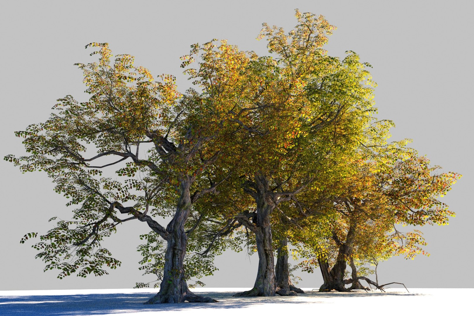 3D Autumn Trees Pack 6 - TurboSquid 1341993