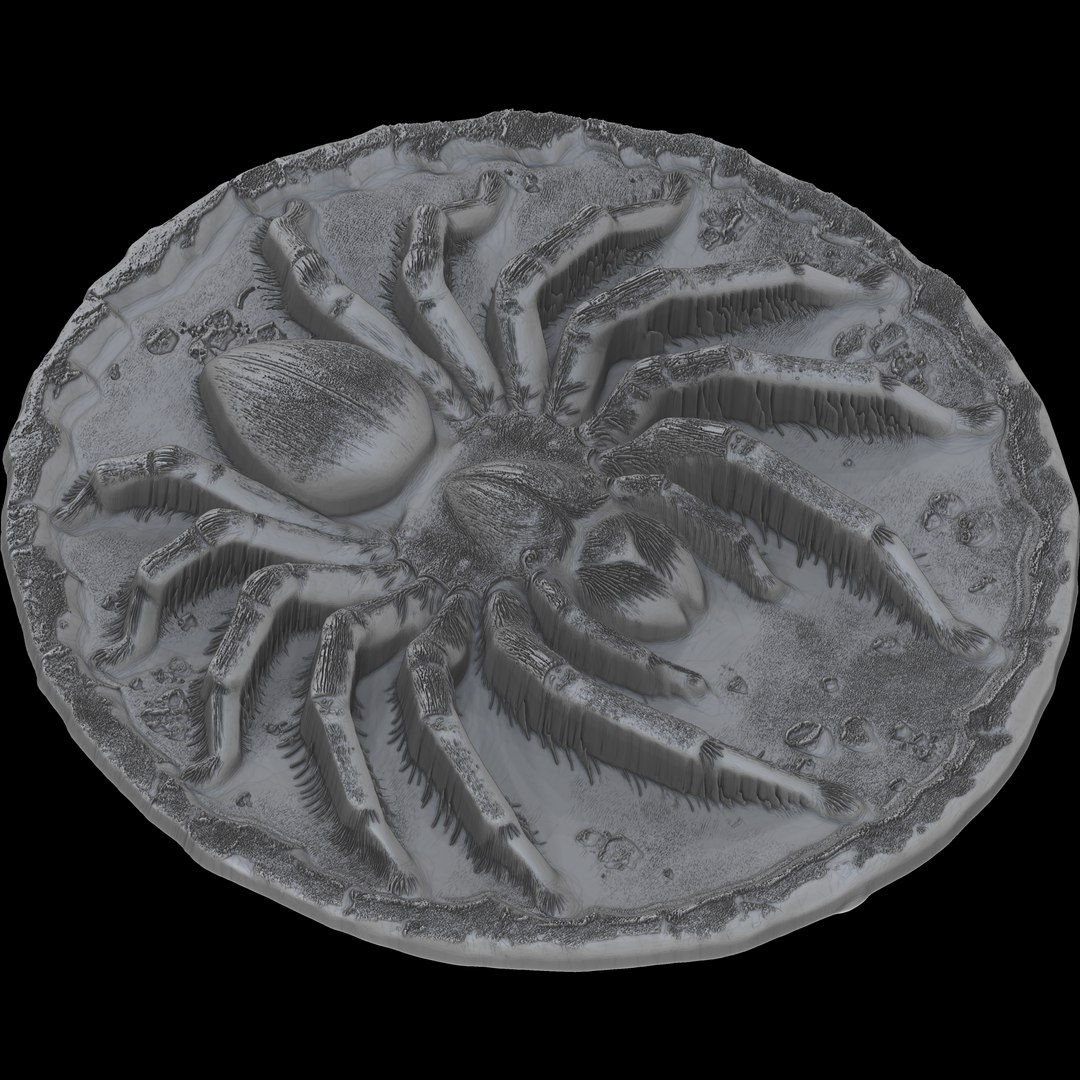 Tarantulas 3D Print Model 3D Model - TurboSquid 2288845
