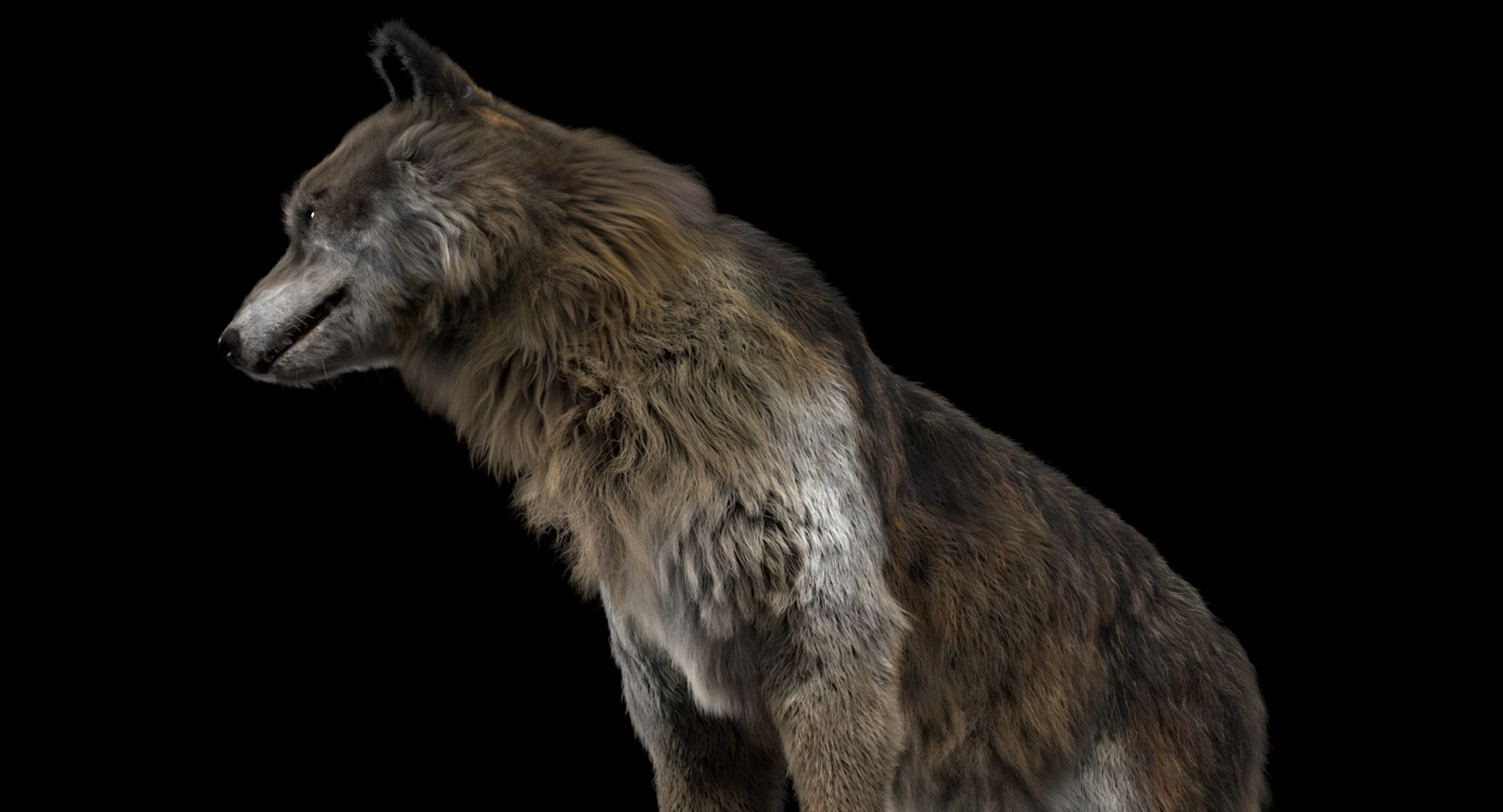 Fur 3D Model - TurboSquid 1328690