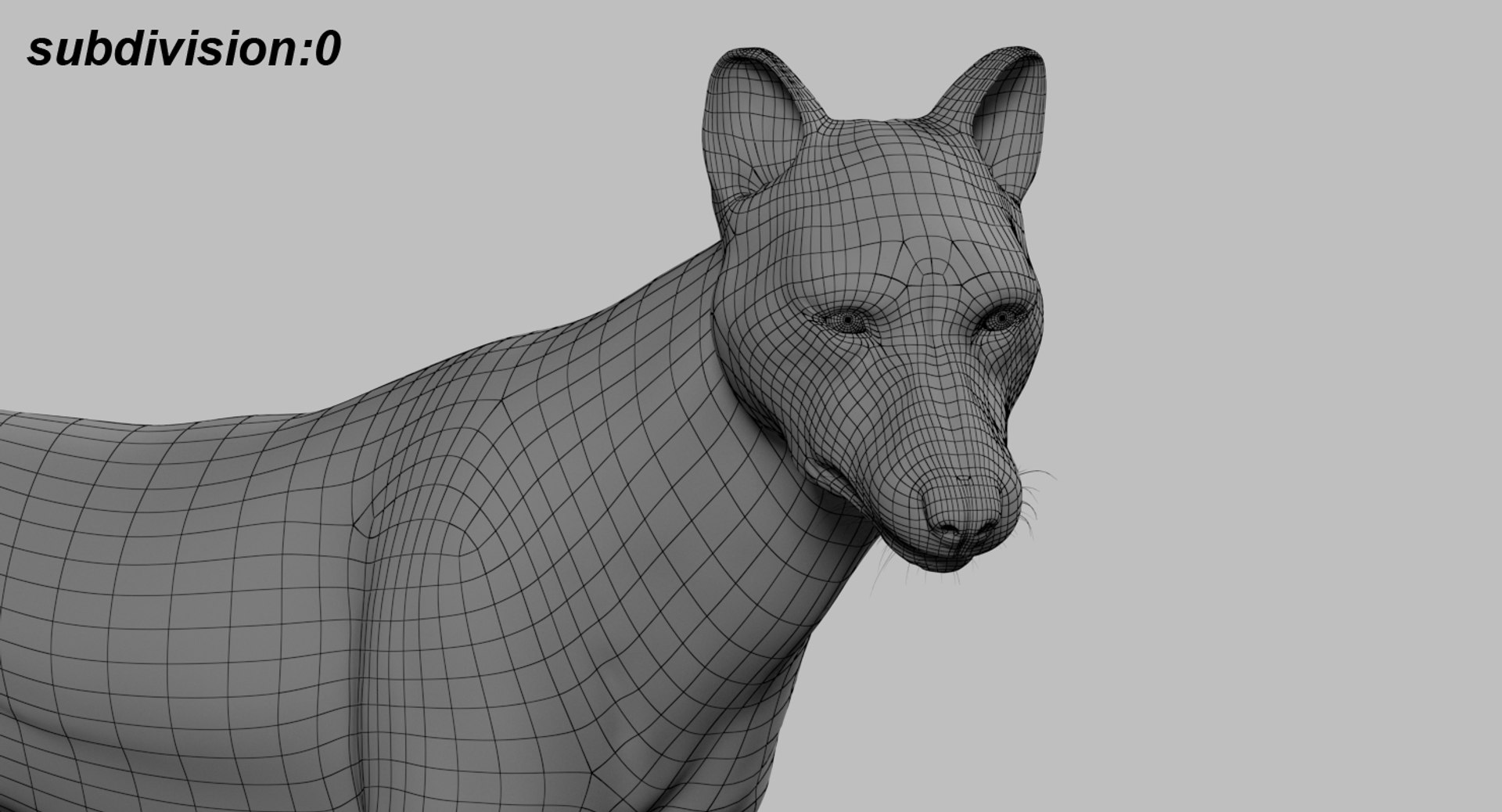 Fur 3D model - TurboSquid 1328690