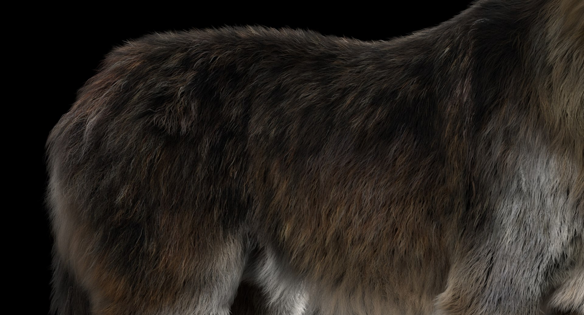 Fur 3D model - TurboSquid 1328690