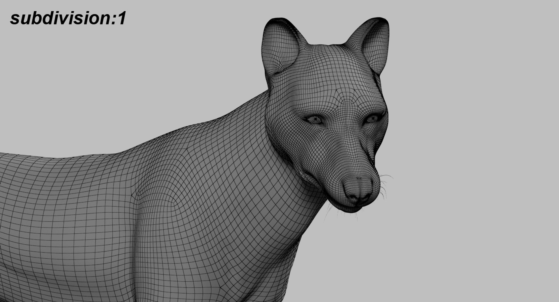 Fur 3D model - TurboSquid 1328690